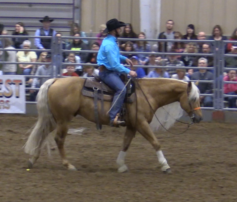 Double Dan Horsemanship | DDH Insider – Reasons To Join