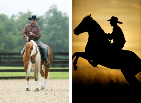 Double Dan Horsemanship | For the love of the horse