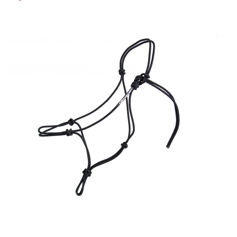 Double Dan Horsemanship | Tack